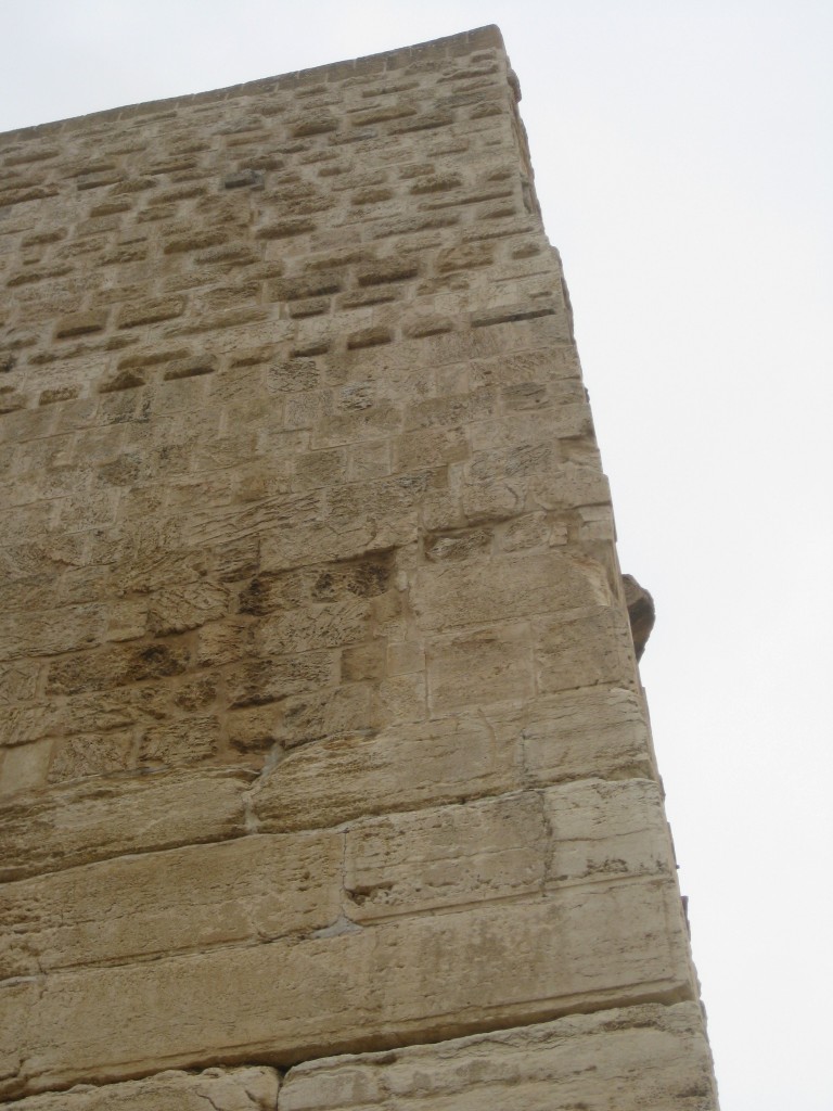 Pinnacle of the Temple | BYU New Testament Commentary